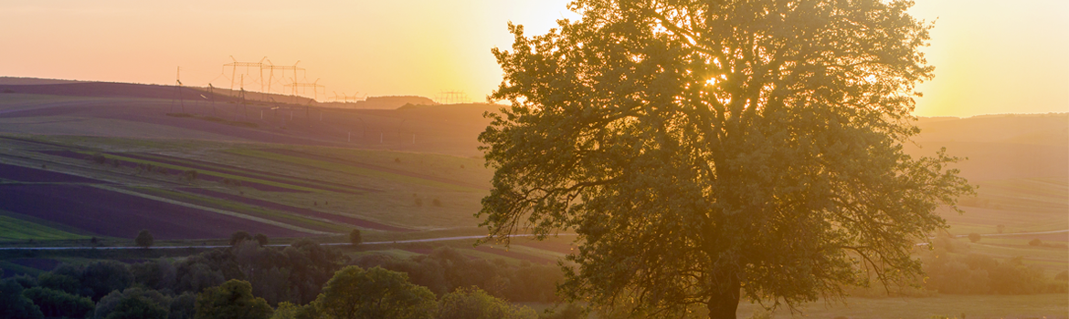 The Funding Landscape: Nonprofit Perspectives on Current Issues in ...