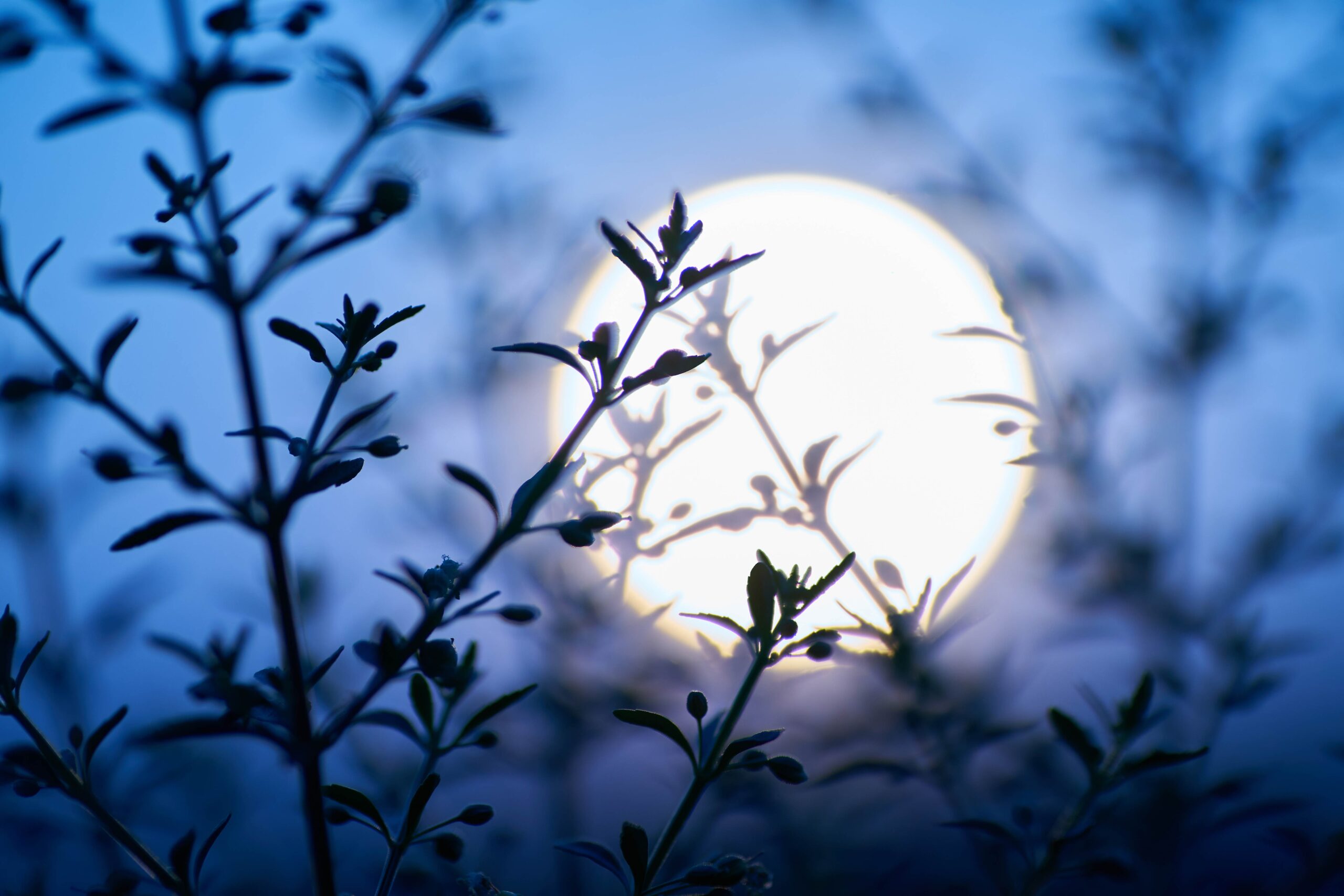 A Moonshot for Disaster Prevention: Building a Framework for ...