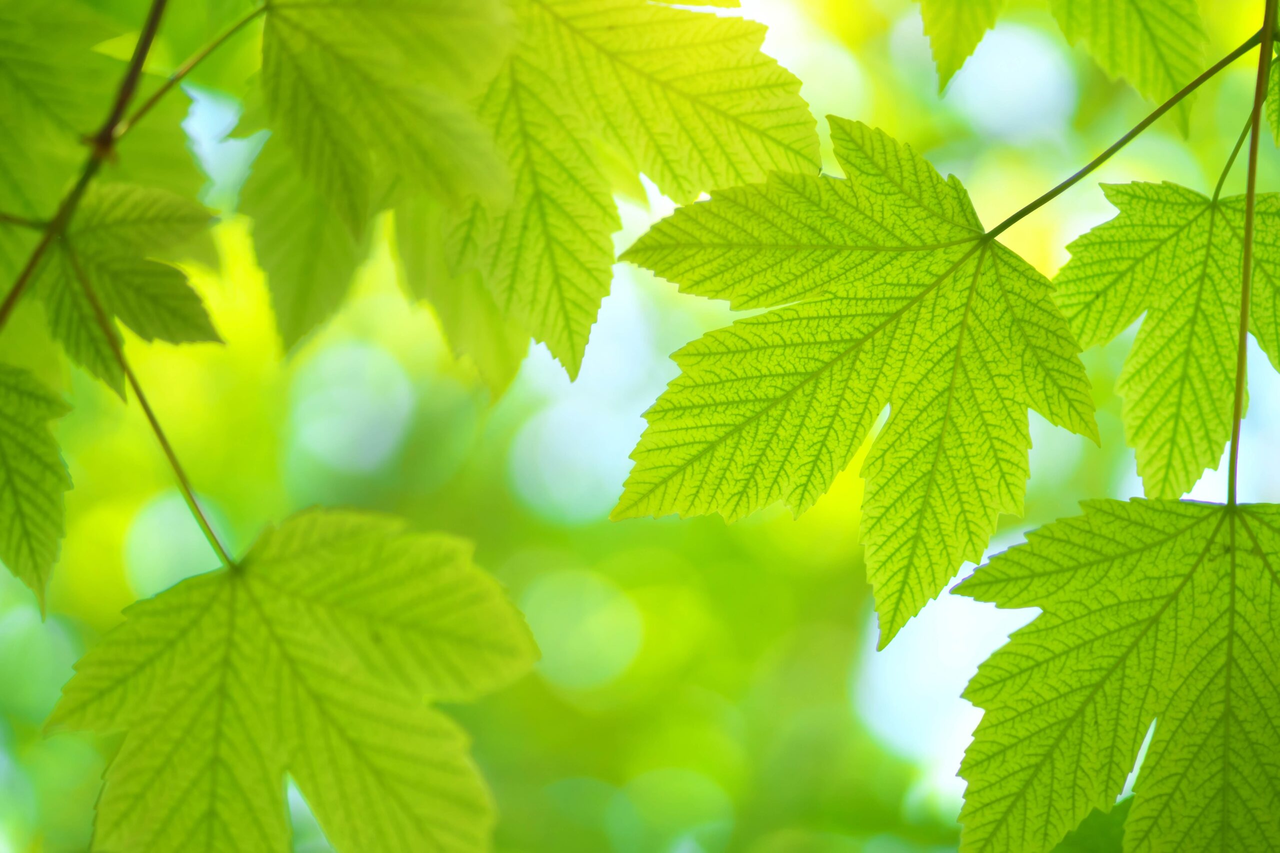 Introducing ‘Transformative Gifts’ — A Closer Look at What Big Gifts ...