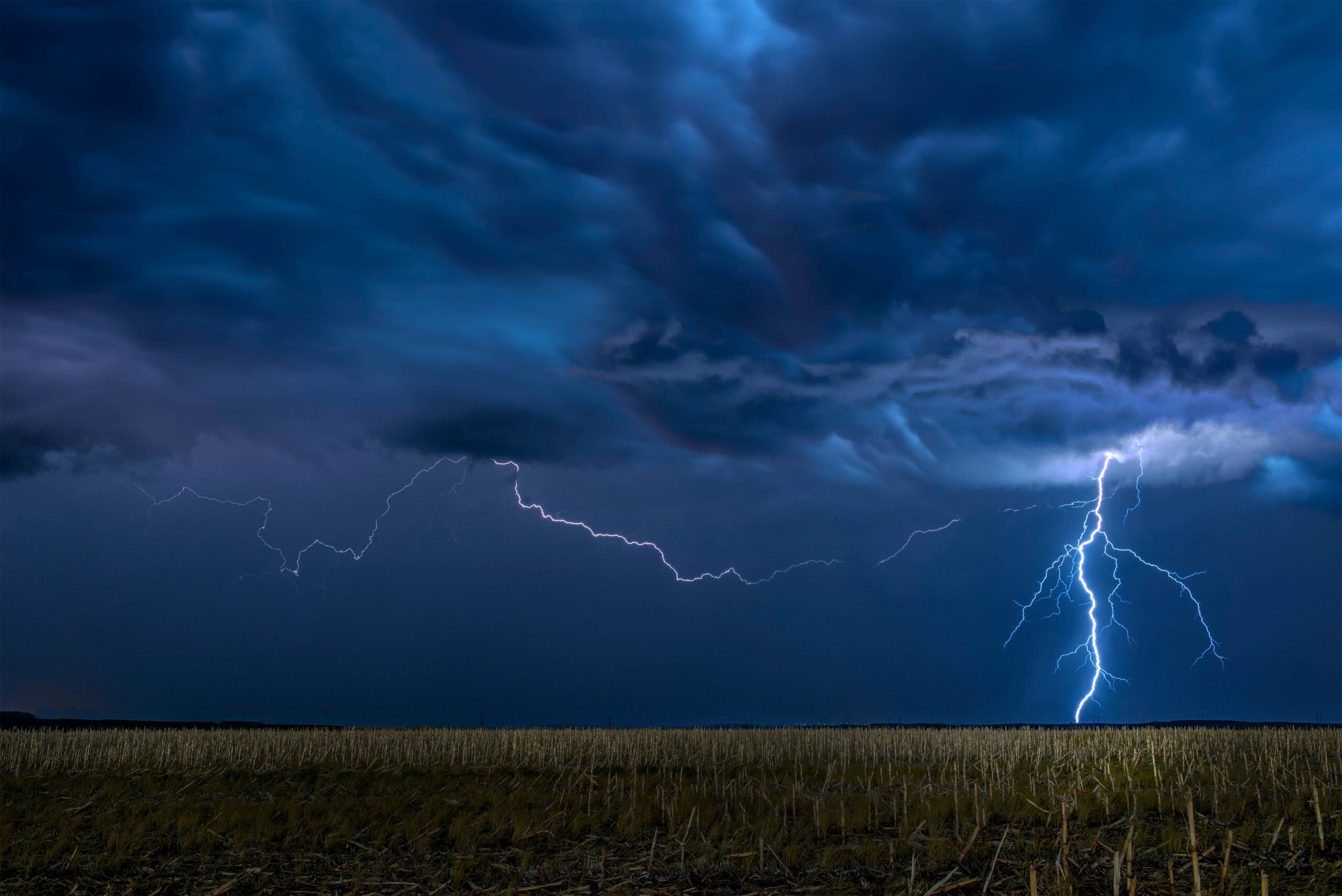 To Weather the Storm, We Must Support ‘Movements’ Over ‘Moments’ | The ...