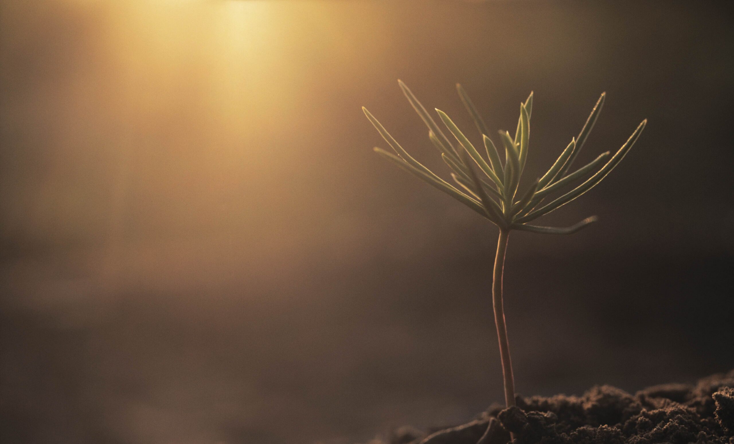 Why Collaborative Funds Give Me Hope Right Now | The Center for ...
